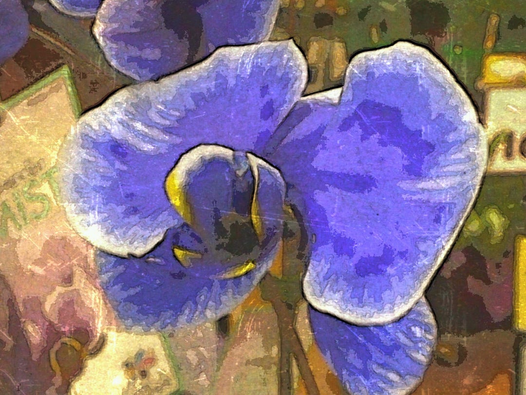 Blue Orchid Plant Downloadable Art Prints, Rare Orchid Bouquet Digital ...