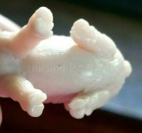 Vintage Safari LTD Plastic Miniature Pigs Set of 2 Doll - Etsy