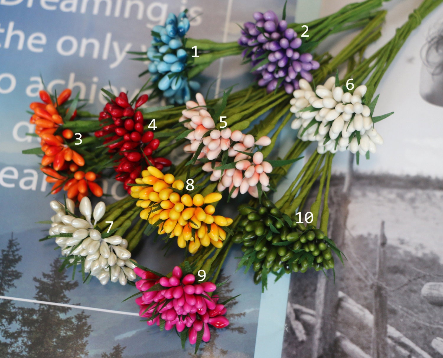Bunch of 10-pink Pip Berries, Wired Millinery Flower Stamen, Christmas ...
