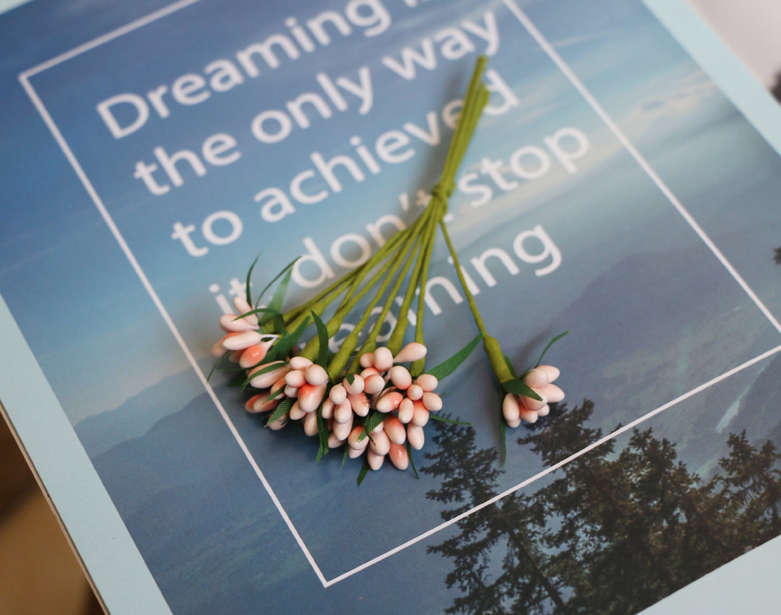 Bunch of 10-pink Pip Berries, Wired Millinery Flower Stamen, Christmas ...