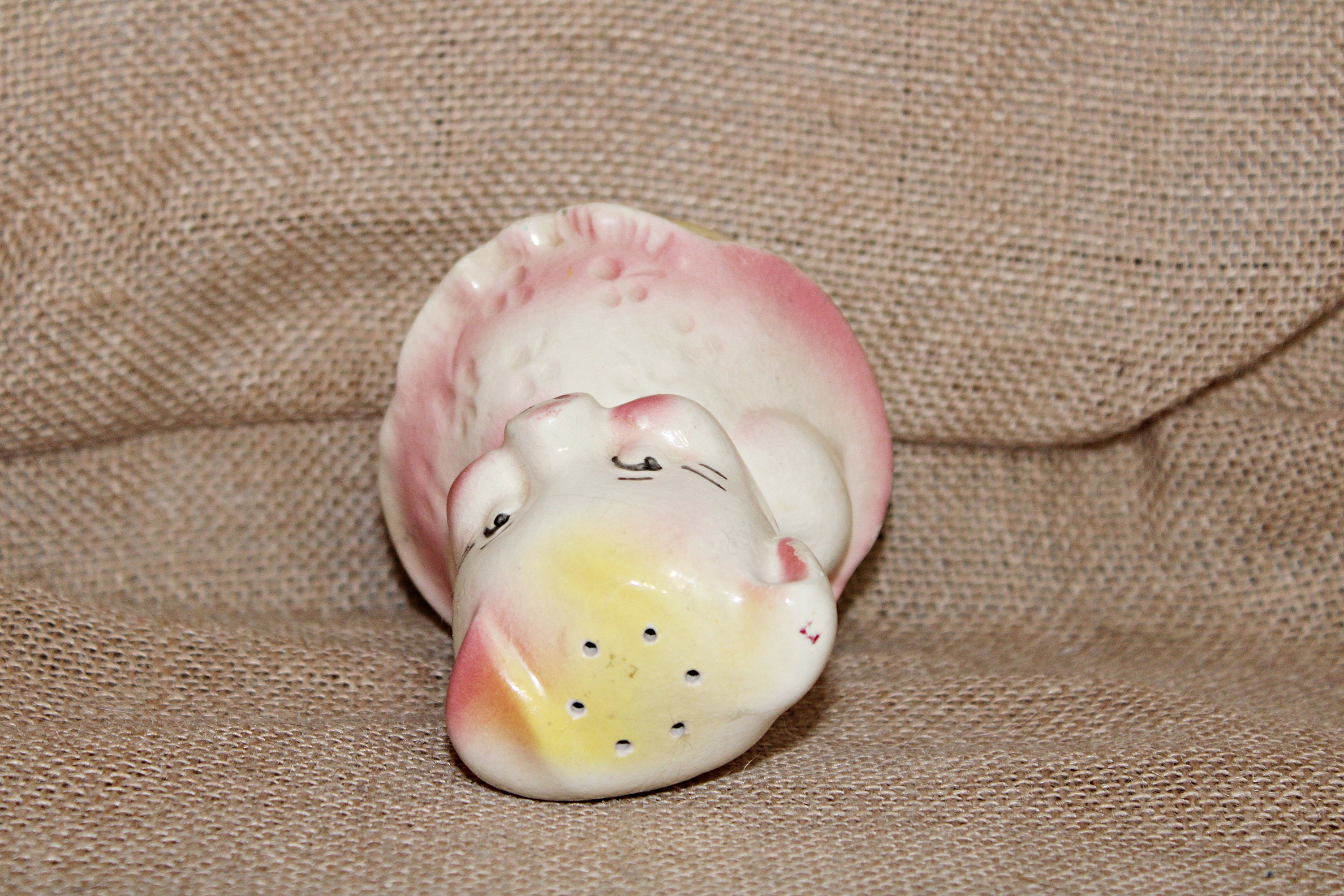 Blushing Female Pig Sugar Shaker Yellow and Pink Dress | Etsy