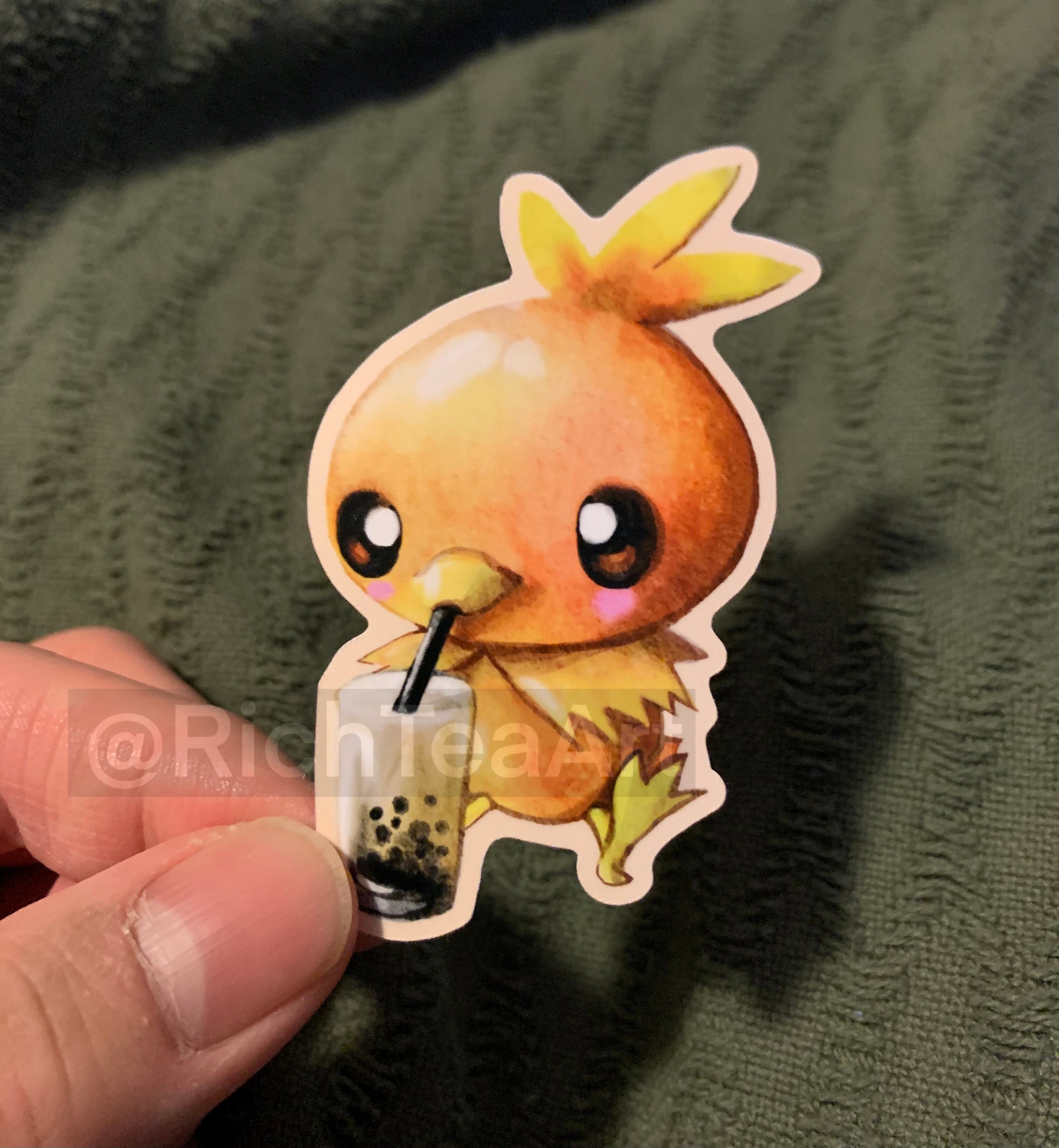 Gen 3 Hoenn Stickers | Cute | Treecko, Torchic, Mudkip - Etsy