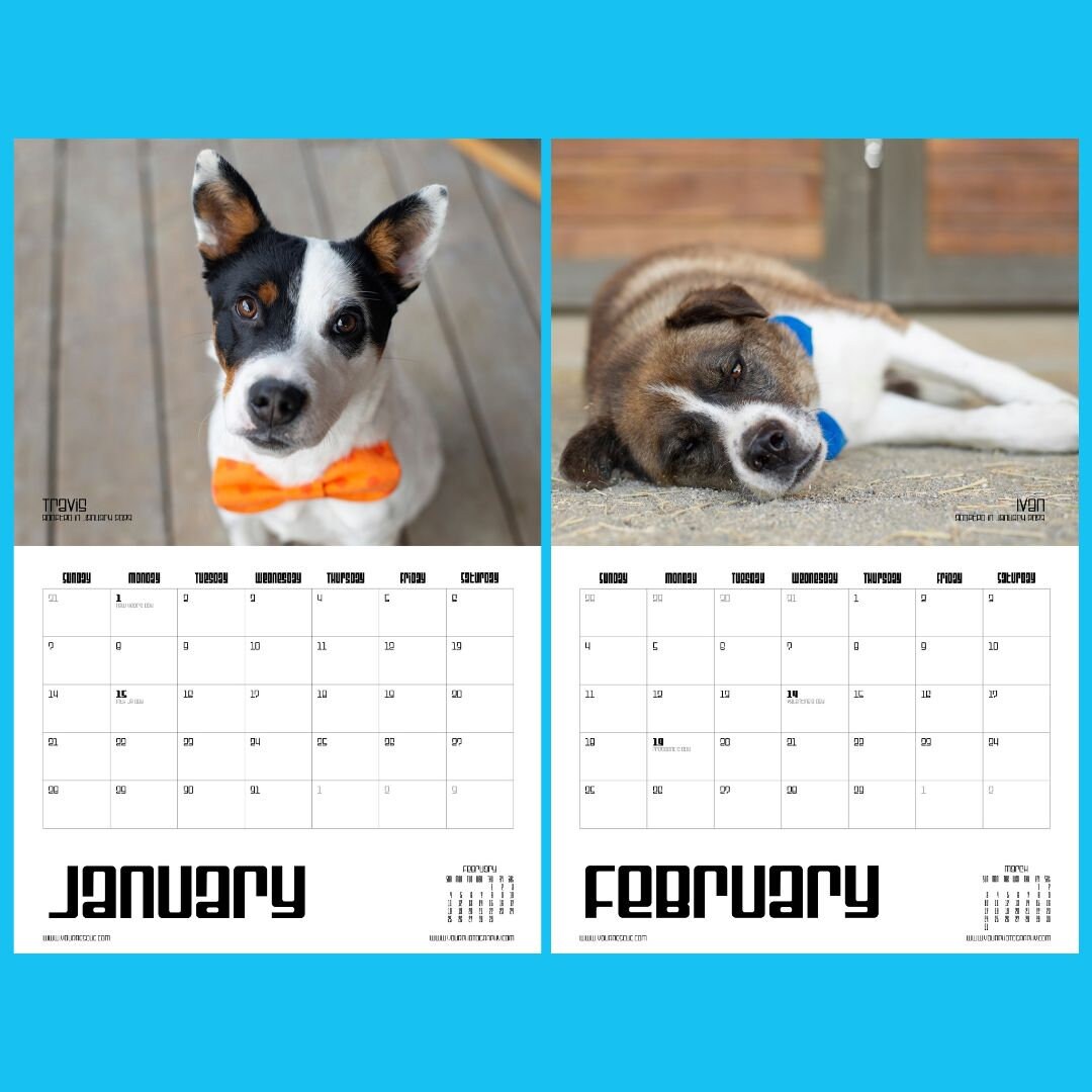 100% EDITABLE 2024 Calendar Template for Photoshop 11 X 8.5 Inch - Etsy ...