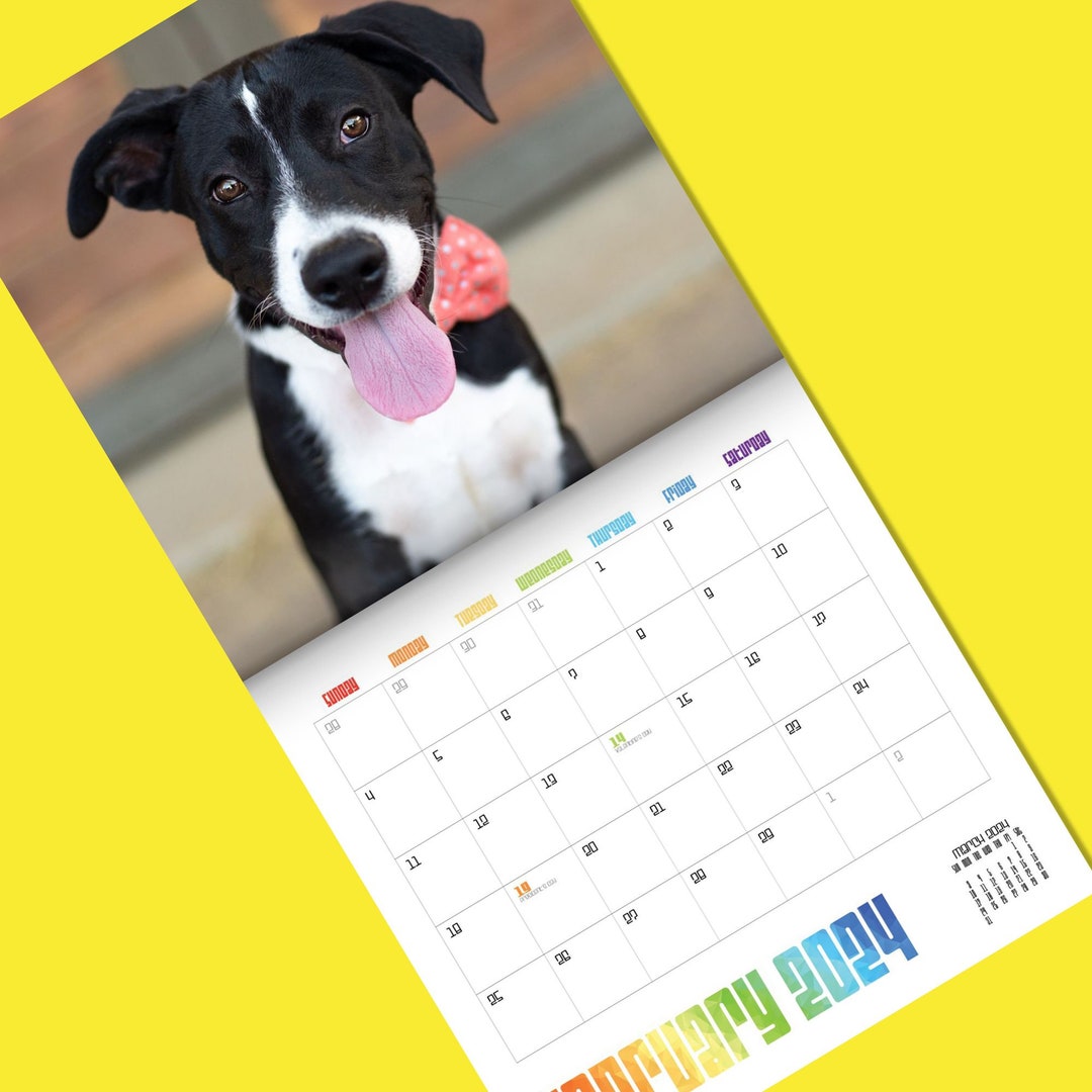 Customizable Canva Template for a 12x12 2024 Calendar With Major US ...