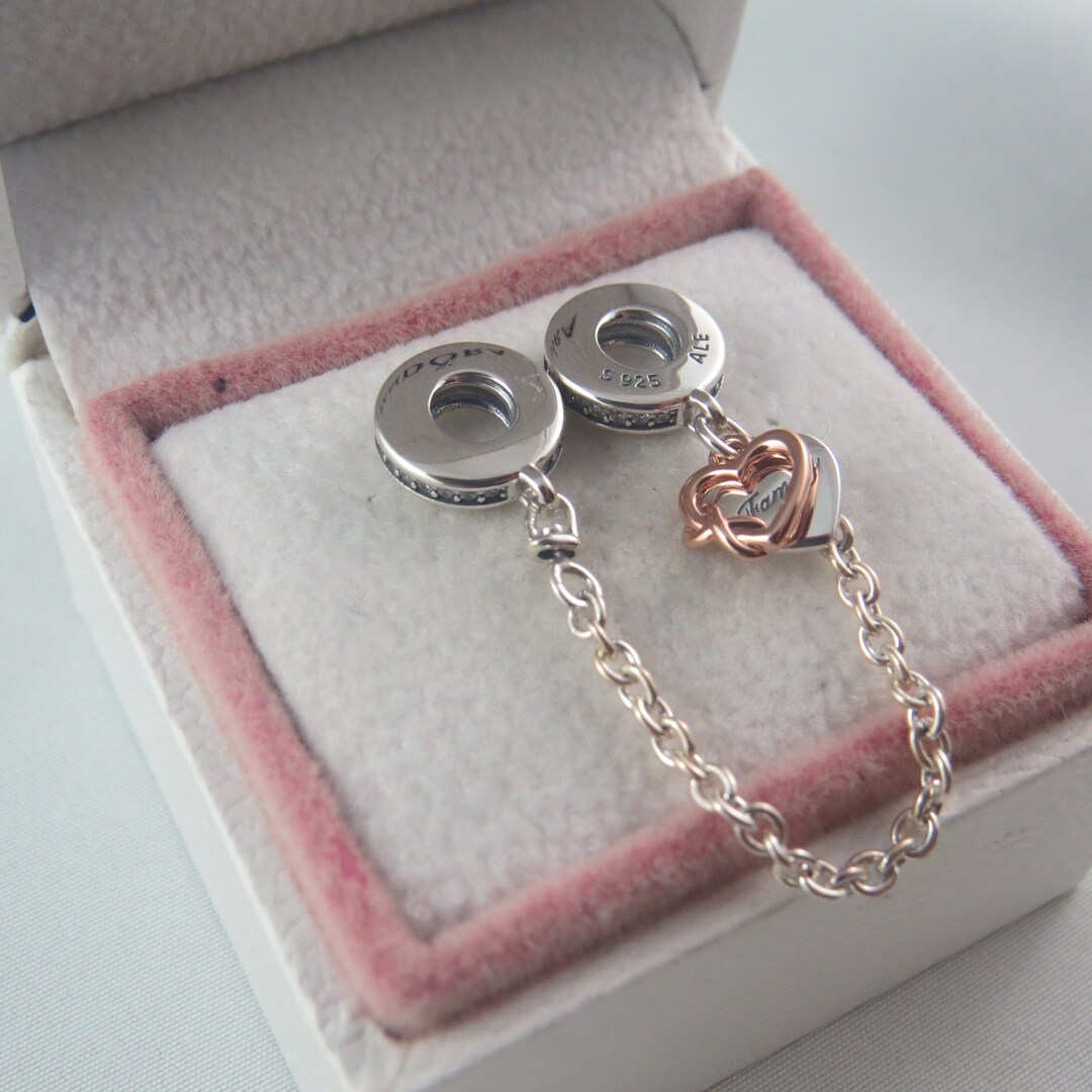 Pandora Family Charm Family Safety Chain Charm Family Heart Safety ...