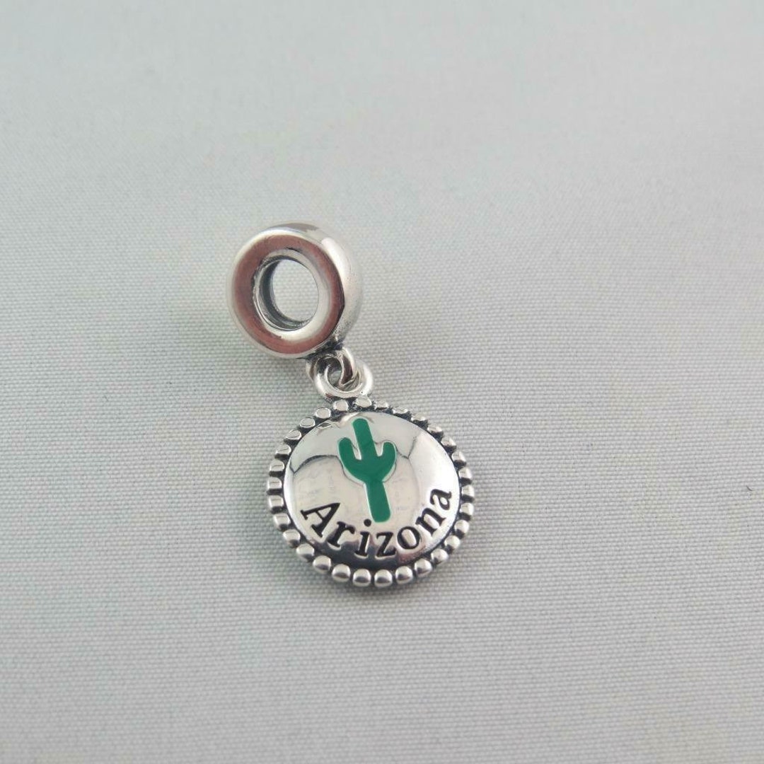 Arizona Charm Cactus Charm USA Charm US State Charm Travel Charm Travel ...