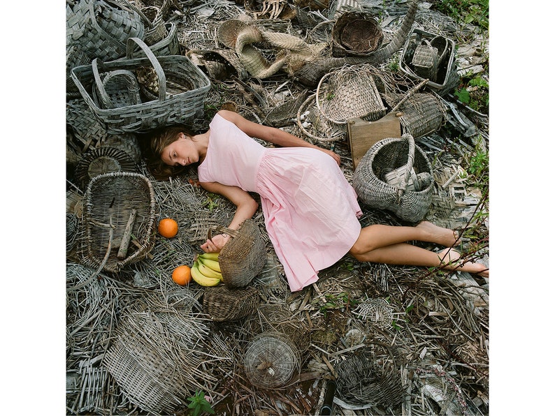 Fine Art Photography Print, Wall Art, Beauty in Chaos, Contemporary ...