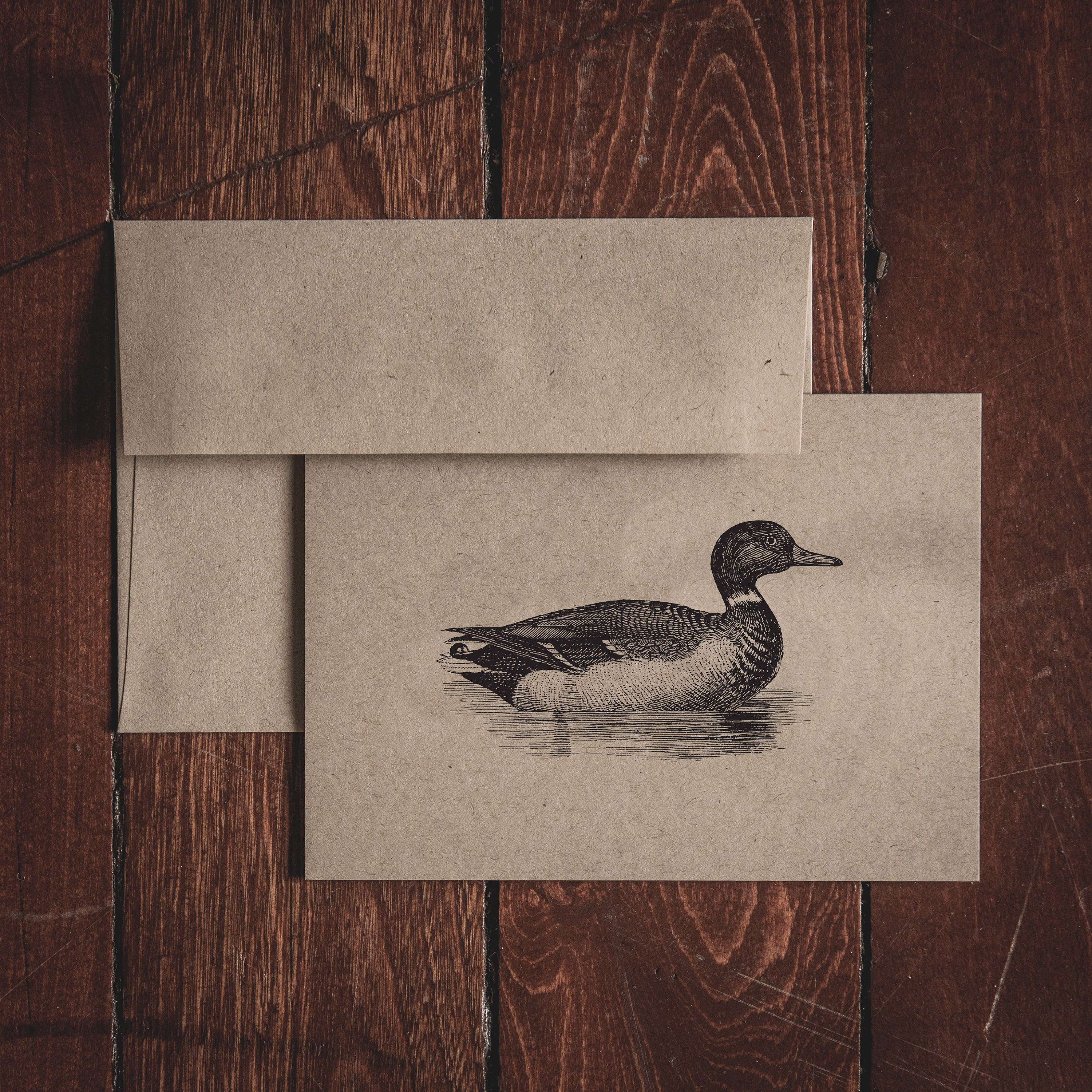 Mallard Duck Stationery Folded Note Cards (set of 8 Cards & Envelopes ...