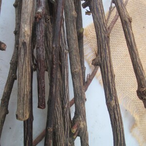 Assorted Sticks Tree Branches, Wood Sticks, Dried Tree Sticks ...