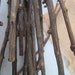 Assorted Sticks Tree Branches, Wood Sticks, Dried Tree Sticks ...