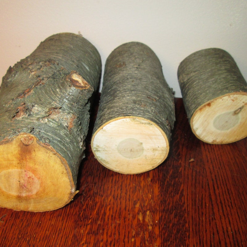 Wood Stump - Etsy
