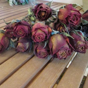 Rustic Red Dried Rose Stems for Autumn Decor Bicolor Rustic Flowers - Etsy