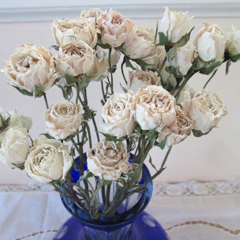 Dried White Roses - Etsy