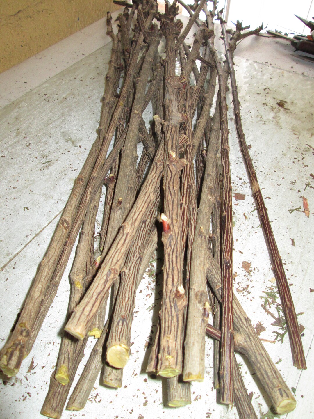 Assorted Sticks Tree Branches, Wood Sticks, Dried Tree Sticks ...
