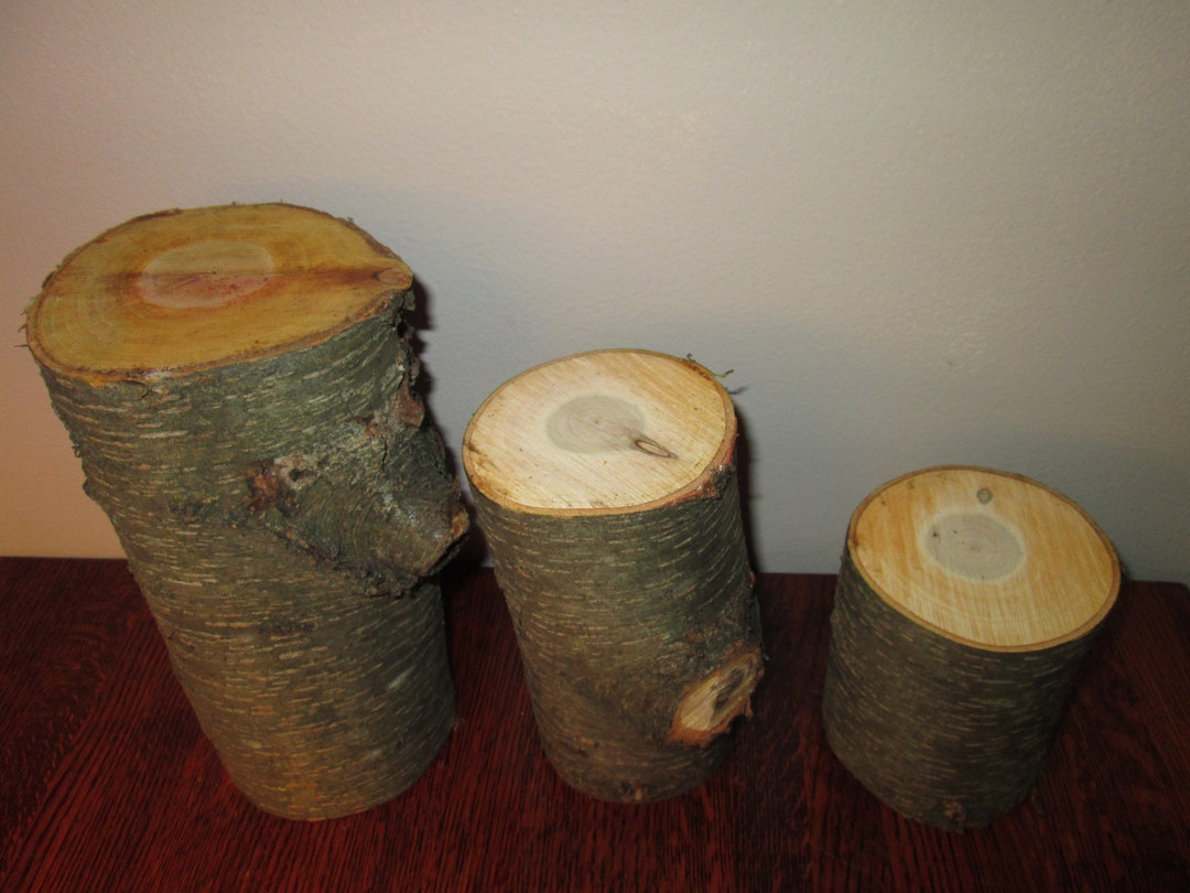 Natural Tree Rustic Wood Stump Set - Cherry Wood and Assorted Miniature ...