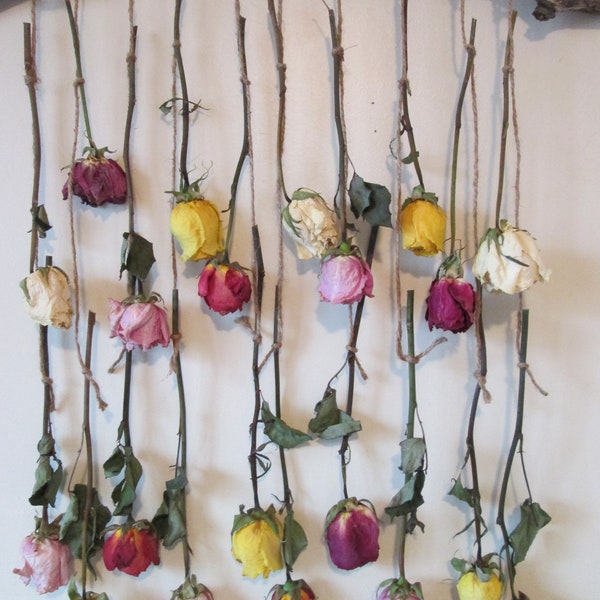 Dried Flowers - Etsy