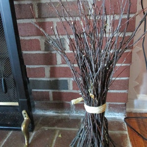 Dried Natural Botanical, Assorted Sticks Tree Branches, Wood Sticks ...