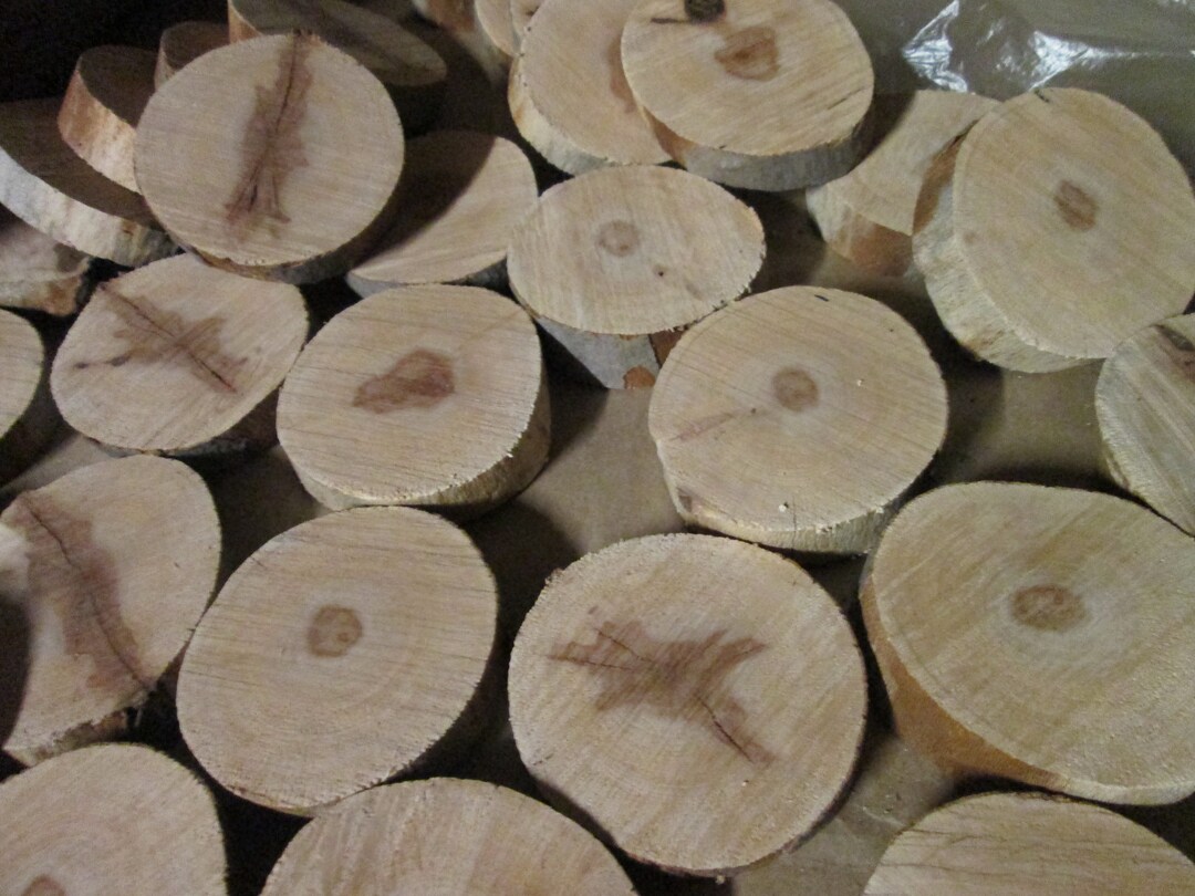 Natural Wood Slices, Tree Branch Slices, Rustic Tree Slices Wood Rounds ...