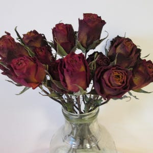 Rustic Red Dried Rose Stems for Autumn Decor Bicolor Rustic Flowers - Etsy