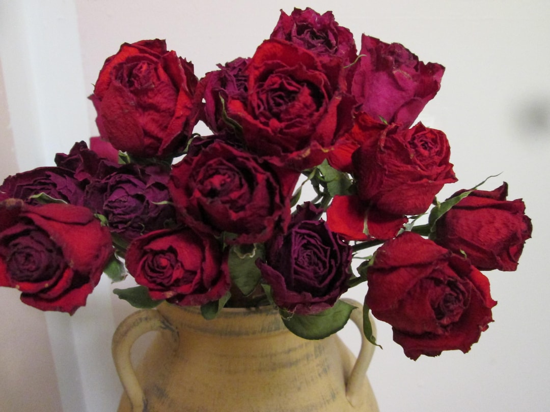 Red Roses Dried Flowers - Etsy