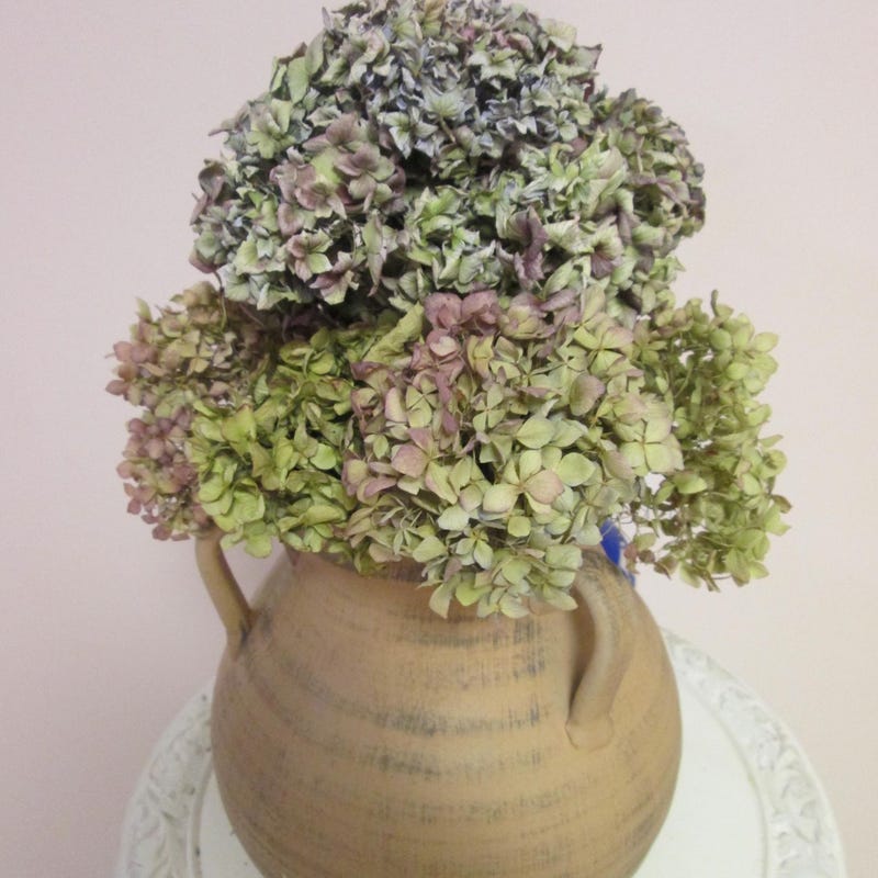 Dried Hydrangeas - Etsy