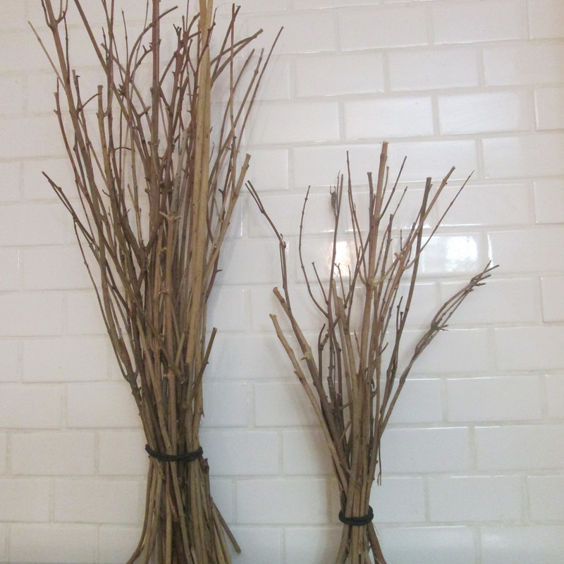 Decorative Sticks - Etsy