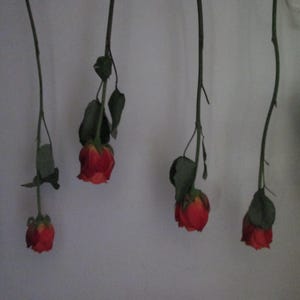 Rustic Red Dried Rose Stems for Autumn Decor Bicolor Rustic Flowers - Etsy