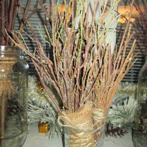 Dried Natural Botanical, Assorted Sticks Tree Branches, Wood Sticks ...