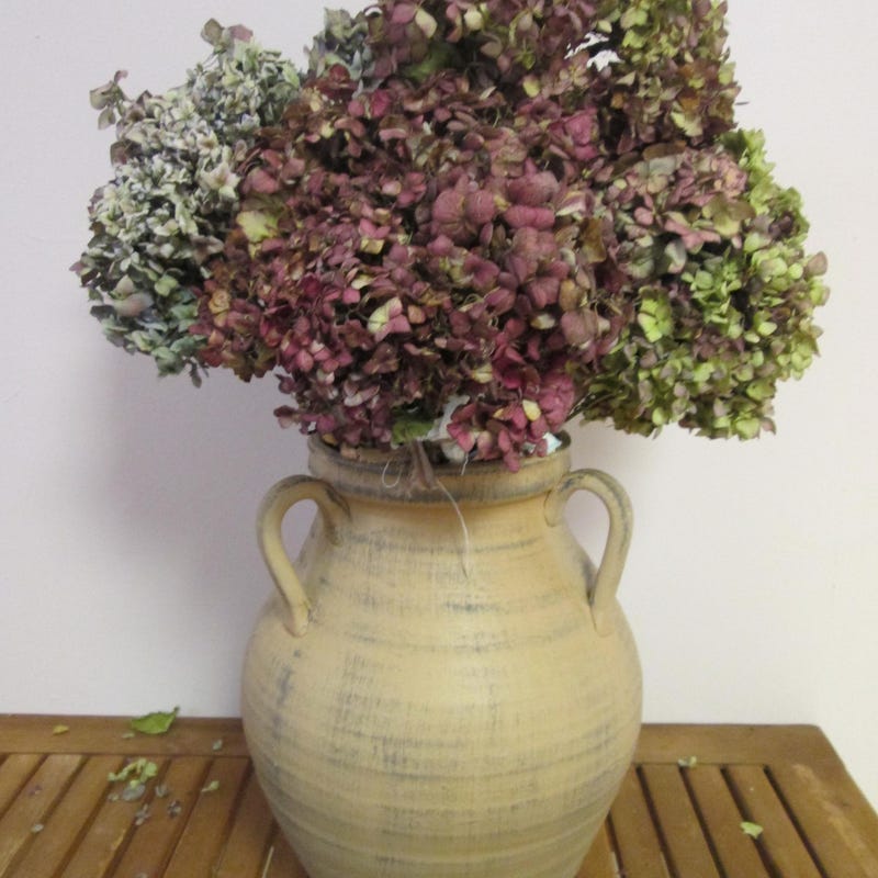 Dried Hydrangea - Etsy