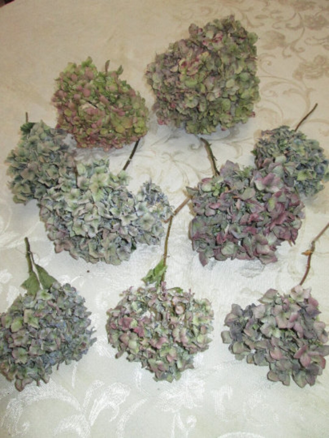 9 Natural Dried Hydrangea Stems Green-purple lavender - Etsy
