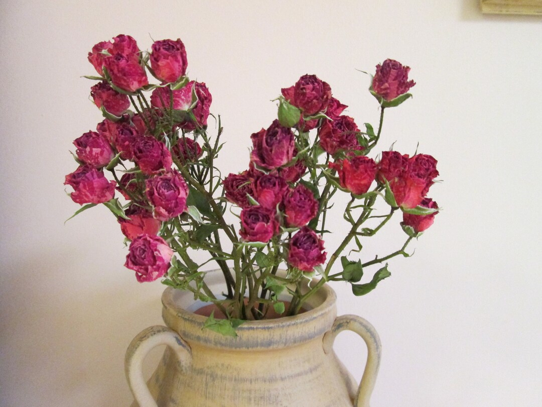 Small Pink Roses Dried Flowers, Stem Roses Dried Rose Bunch - Etsy
