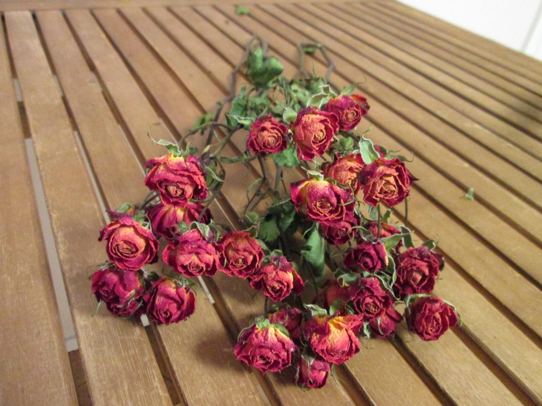 Small Red Roses Dried Flower Bunch - Etsy