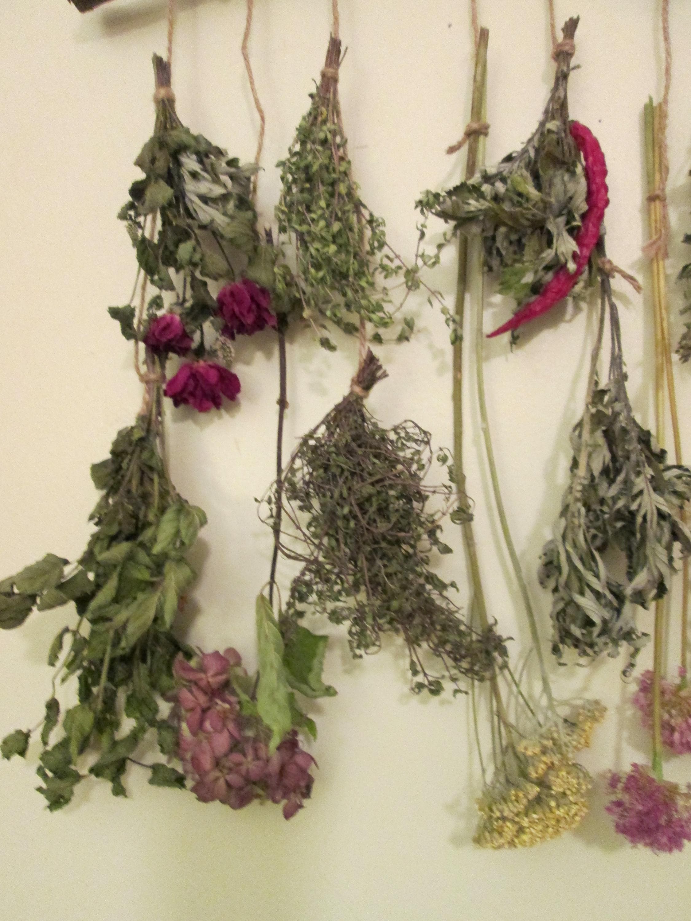 Rustic Dried Herb and Flower Wall Hanging - Etsy