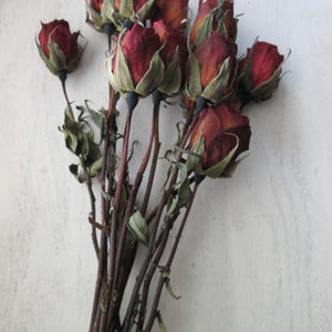 Rustic Red Dried Rose Stems for Autumn Decor Bicolor Rustic Flowers - Etsy