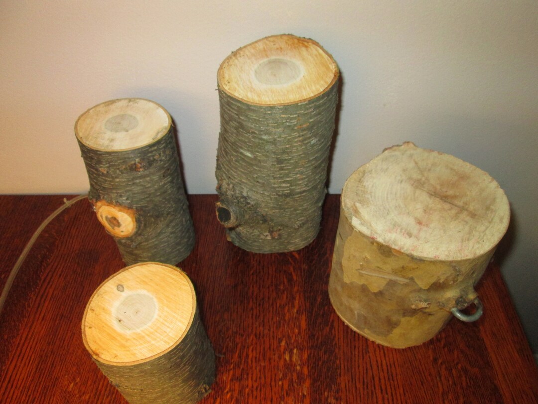 Natural Tree Rustic Wood Stump Set Cherry Wood and American Sycamore ...