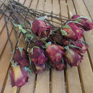 Rustic Red Dried Rose Stems for Autumn Decor Bicolor Rustic Flowers - Etsy