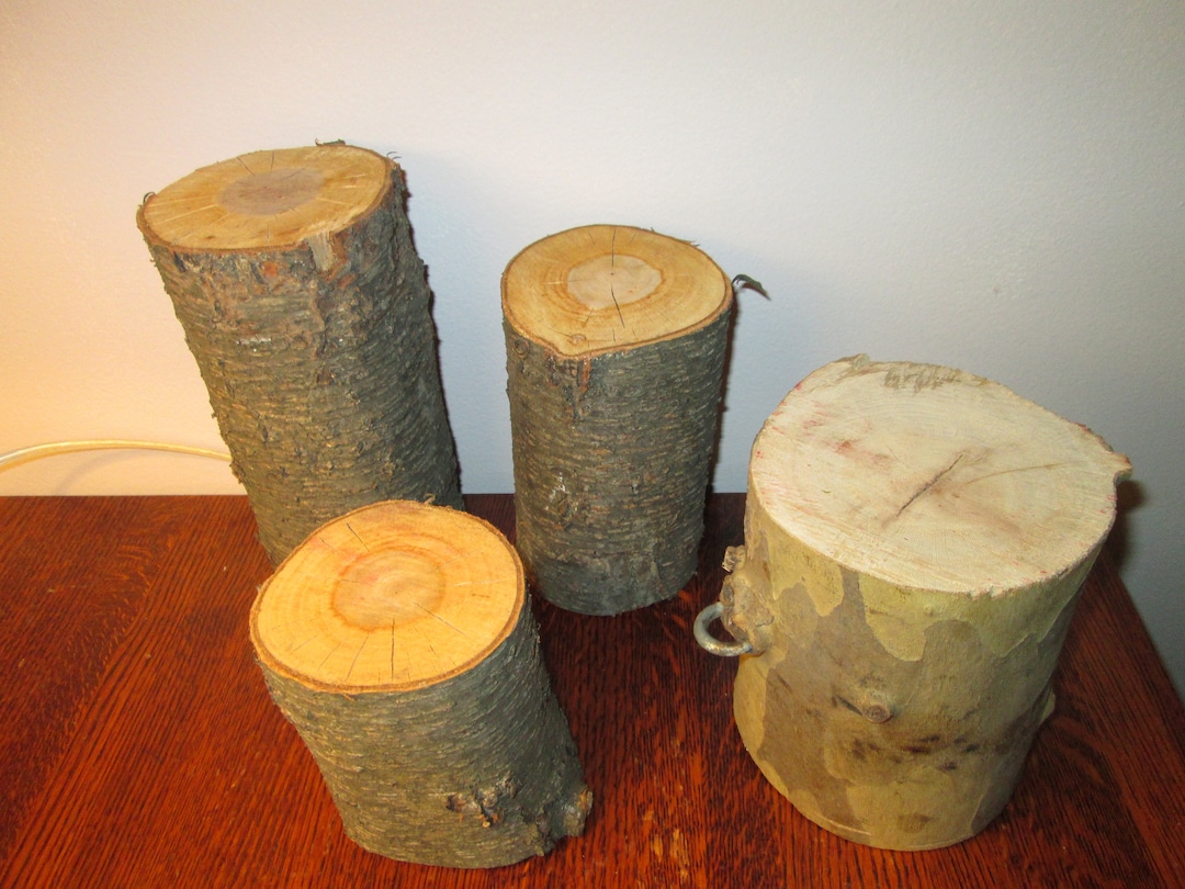 Natural Tree Rustic Wood Stump Set Cherry Wood and American Sycamore ...