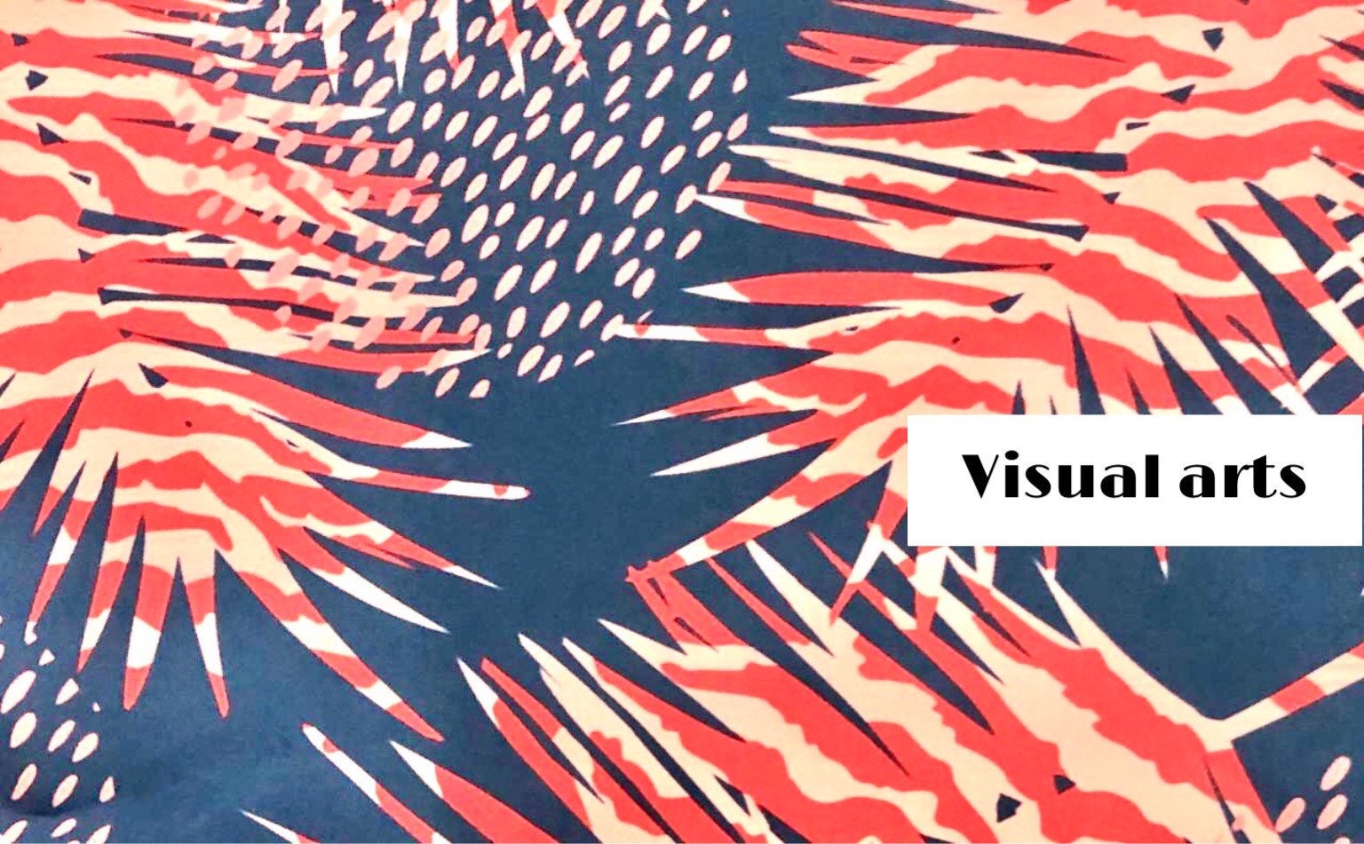 Family Visual Arts Matching Swimwear Collection | Mix & Match Sizes ...