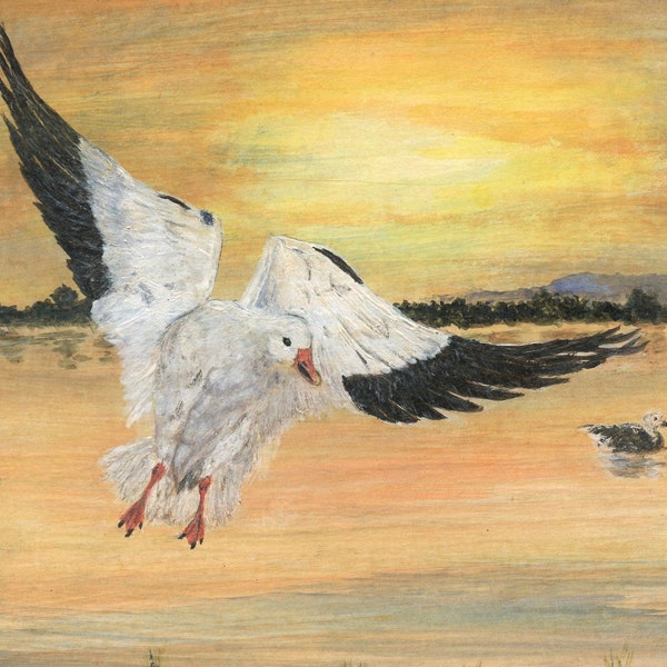 Snow Goose - Etsy