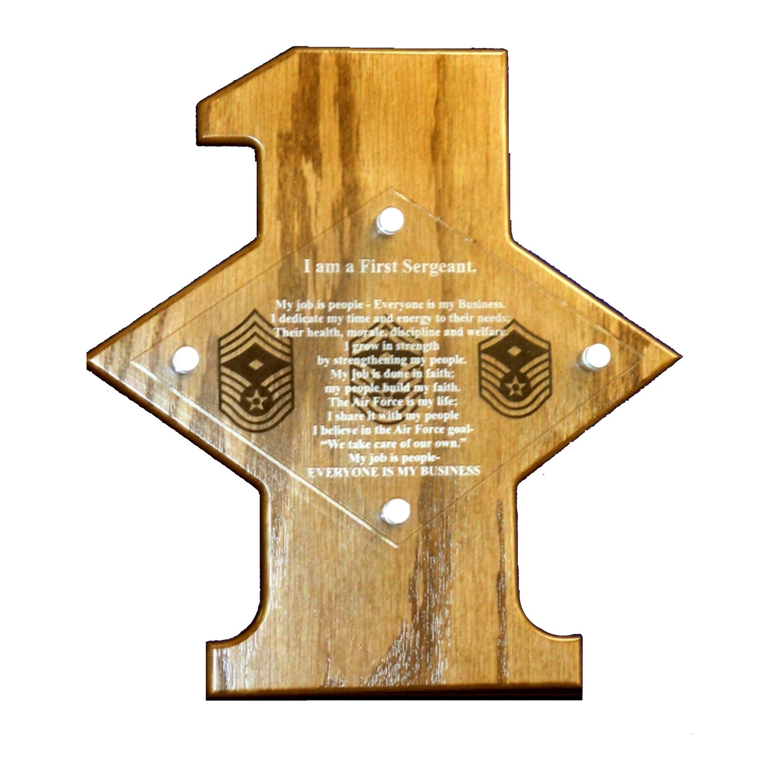 Air Force 1st Sergeant Plaque - Etsy