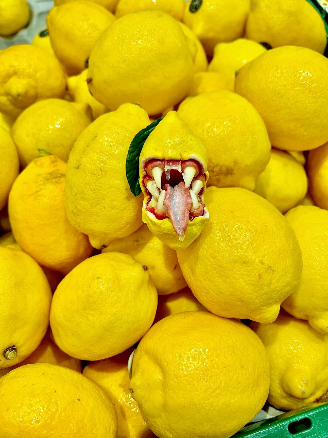 Large Carnivorous Lemon Fruit Polymer Clay Creepy but Cute Horror ...