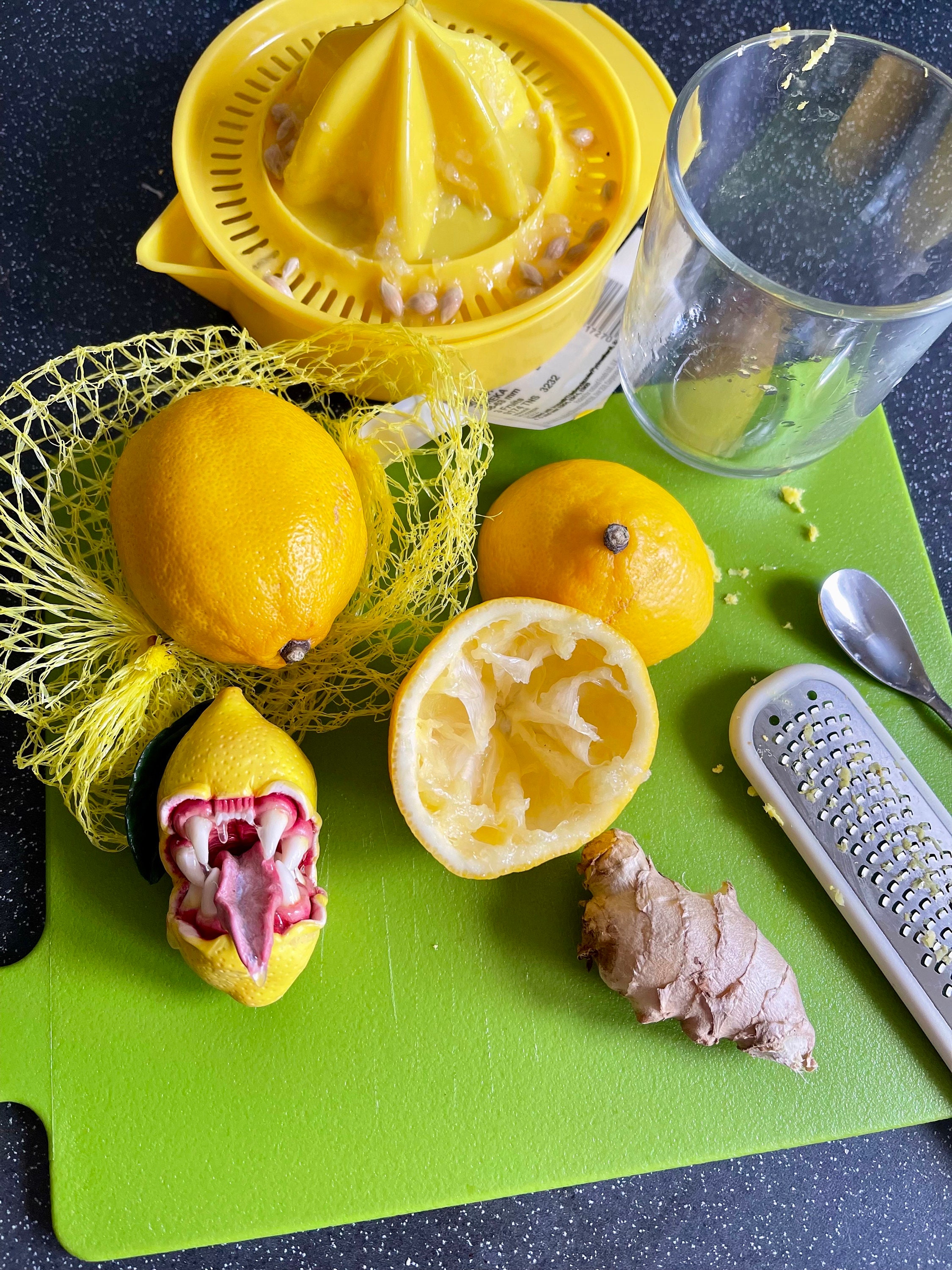 Large Carnivorous Lemon Fruit Polymer Clay Creepy but Cute Horror ...