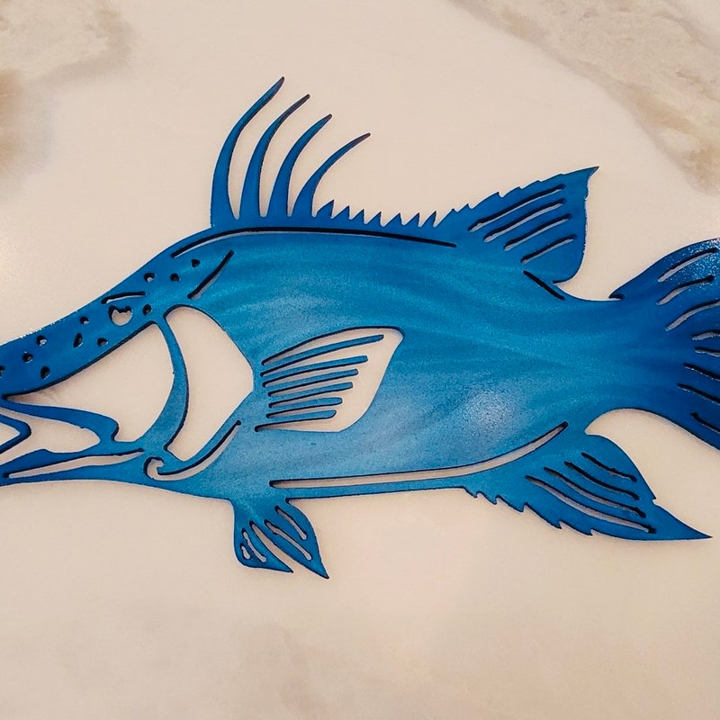 Hogfish - Etsy