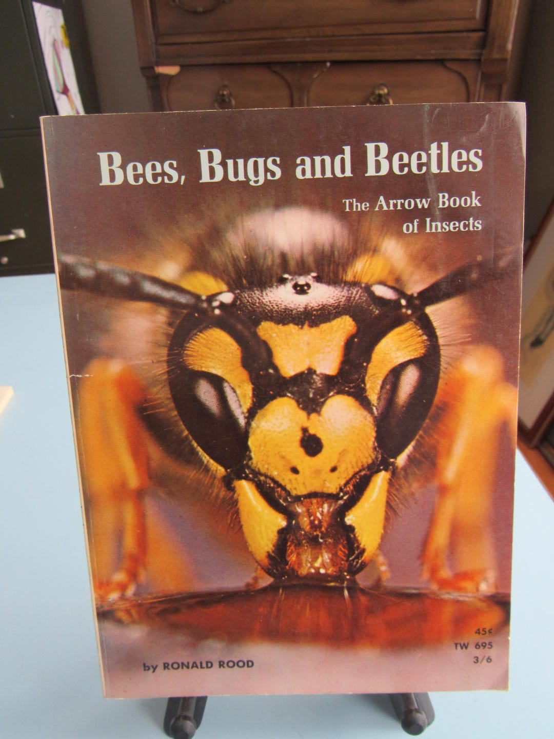 Bees, Bugs and Beetles: the Arrow Book of Insects by Ronald Rood 1965 ...