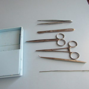 Vintage Hamilton Bell Co. Dissection Kit Free Shipping - Etsy