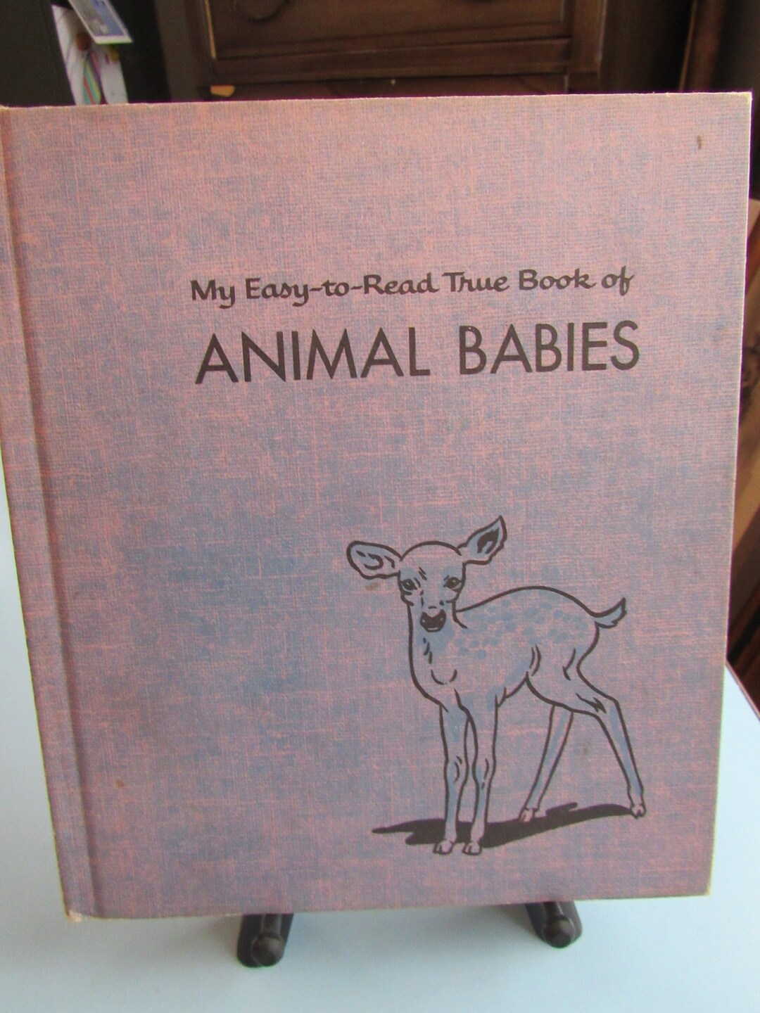 My Easy-to-read True Book of Animal Babies by Illa Podendorf 1955 Free ...