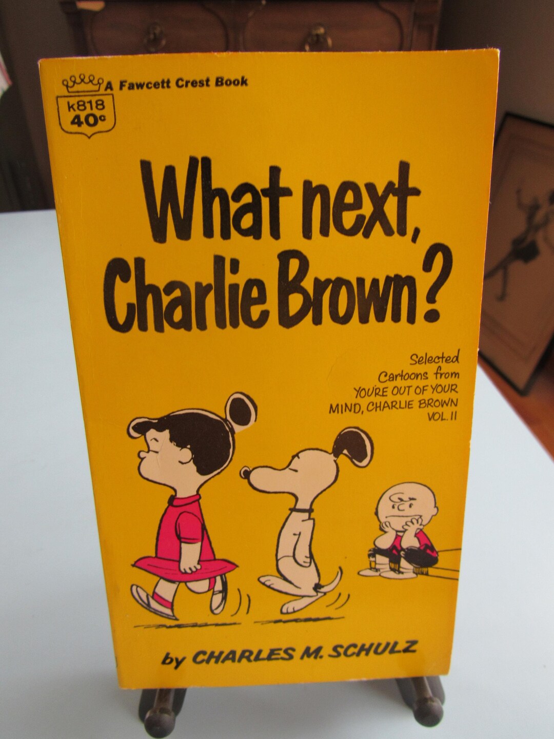 What Next, Charlie Brown? by Charles Schulz 1967 Free Shipping - Etsy