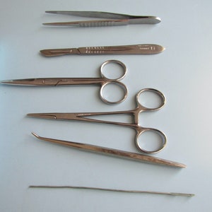 Vintage Hamilton Bell Co. Dissection Kit Free Shipping - Etsy