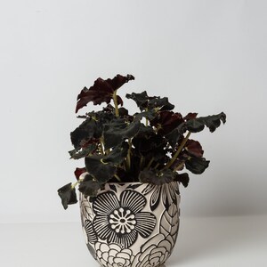 Embossed Planter, 5" Pot, Large Pot, 3D Pot, Patterned Pot, Textured ...