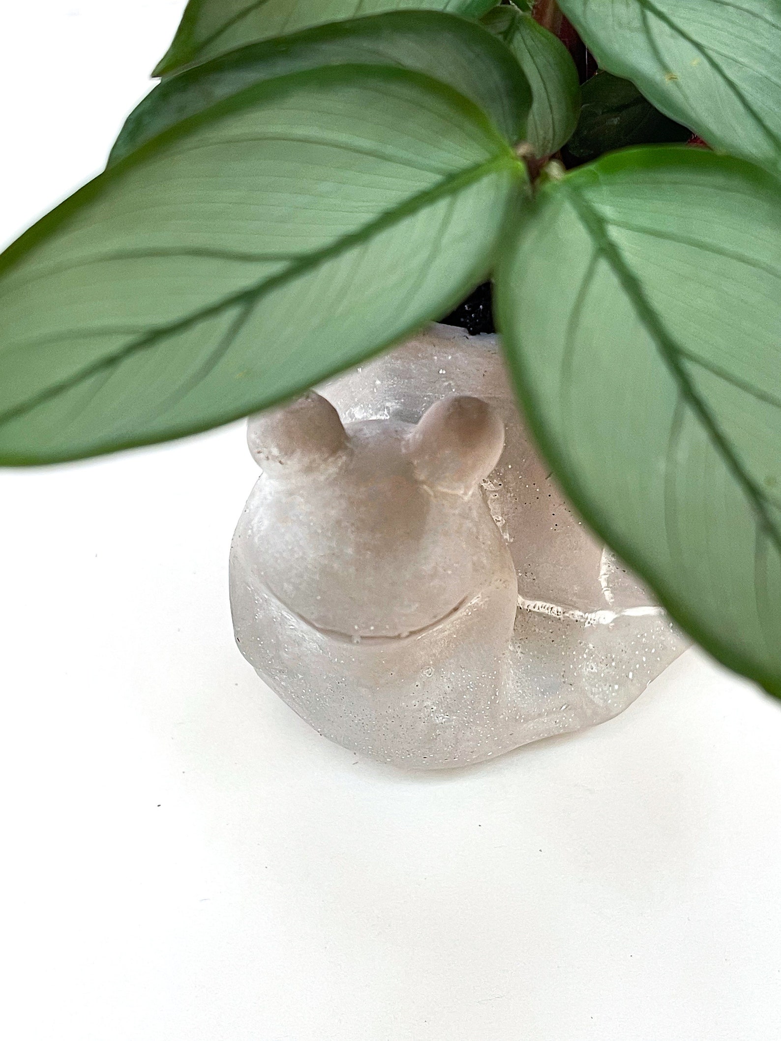 Cement Snail Pot With Natural Finish, Snail Planter, Garden Snail ...